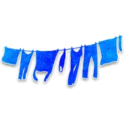 BotC character sheet